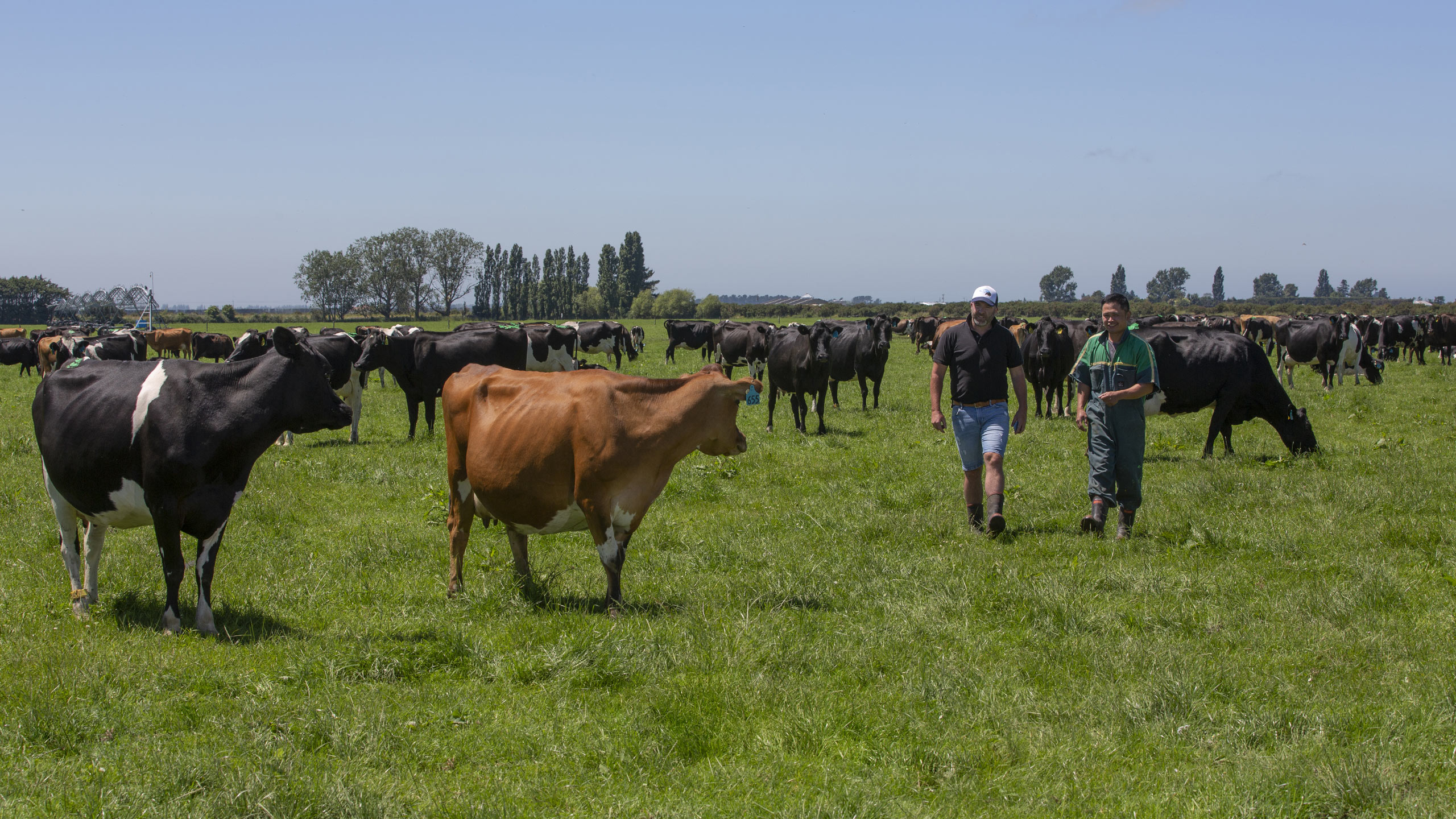 Noremac - Align Farms