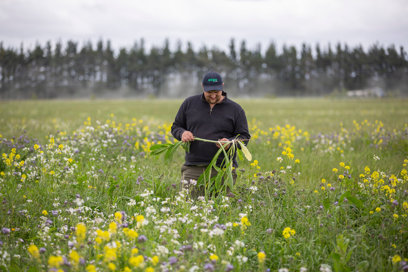 Our Story - Aligning Farming To Nature - Align Farms
