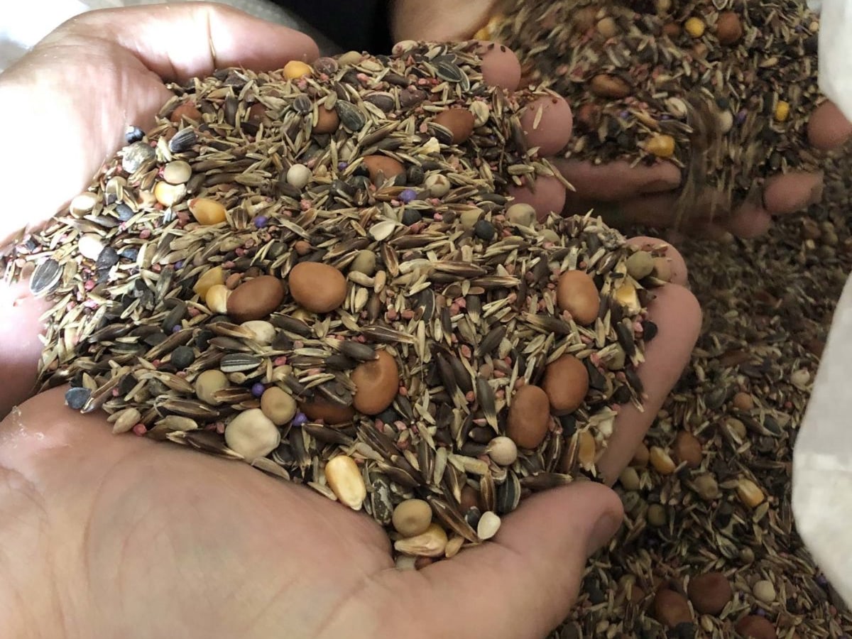 Diverse Seed Mixes - Align Farms
