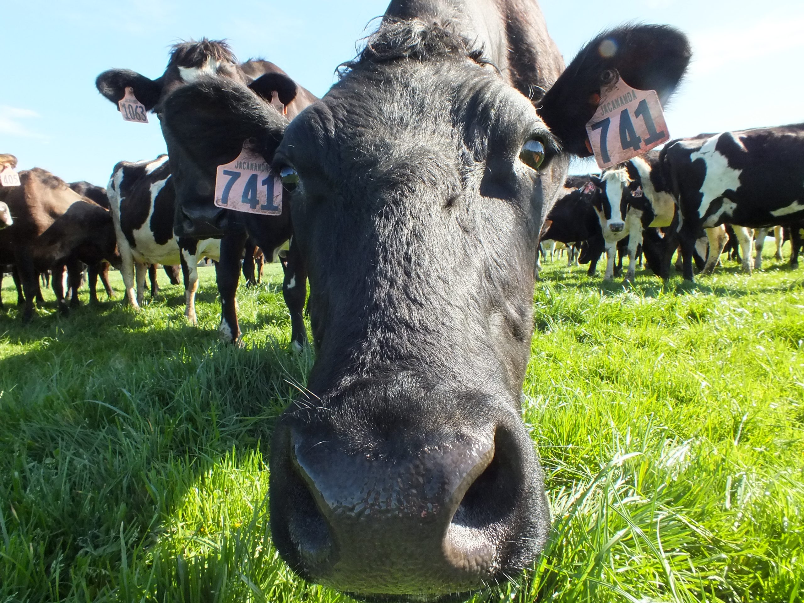 2021-22 Regenerative Trial Financial Discussion - Align Farms