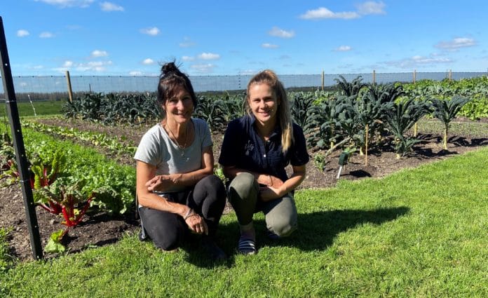 The Dirty Fork Features in Spirit Magazine - Align Farms