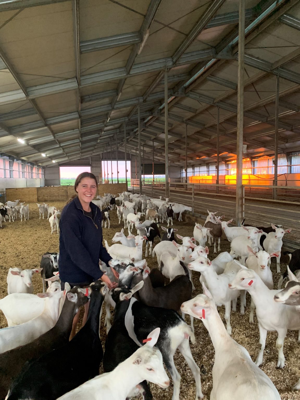 Emma Blom Receives the Inaugural Align Farms Agriculture Scholarship ...