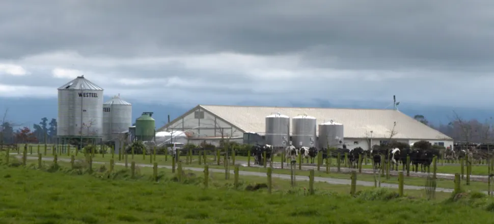 Farming: The Next Steps - Align Farms