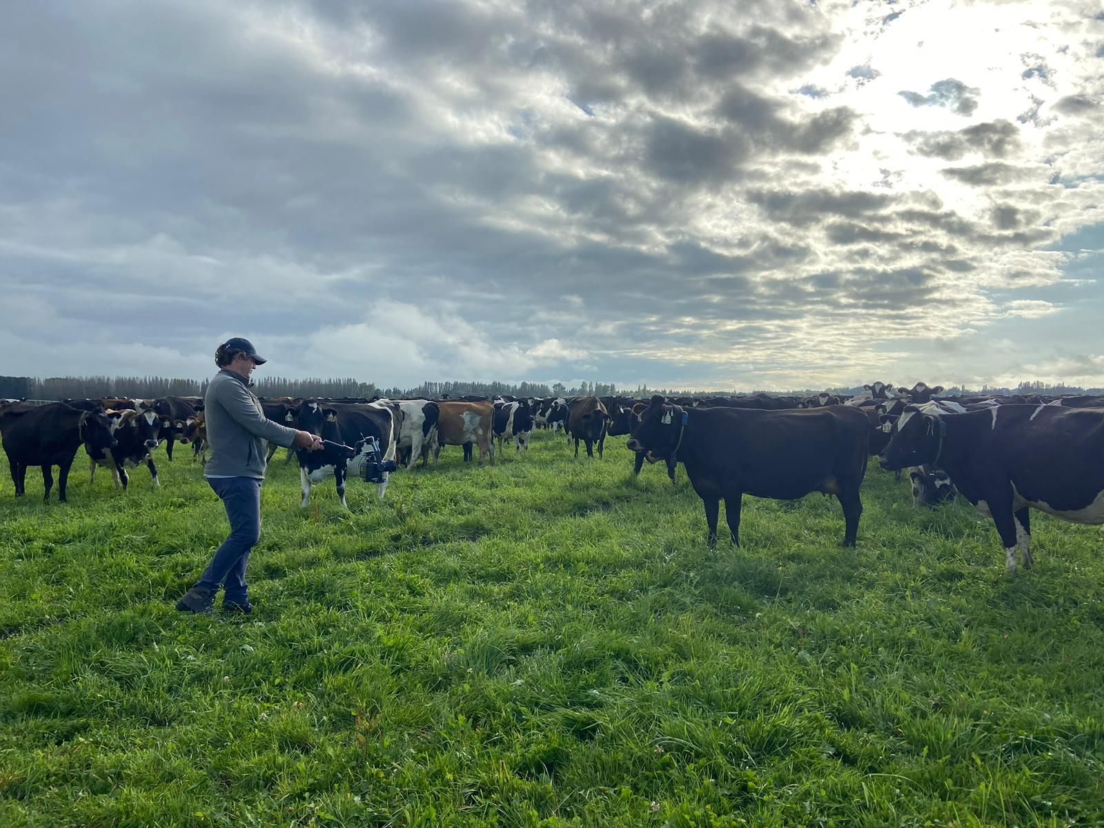 Align Farms Features on Country Calendar - Align Farms